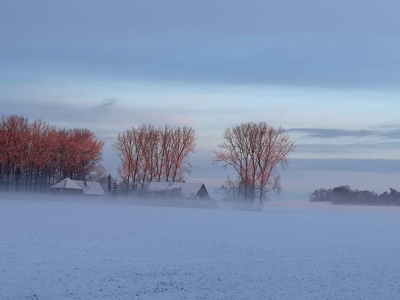 Ab Weihnachten winterlich! Aber bekommen wir auch Schnee? - DeWeKo